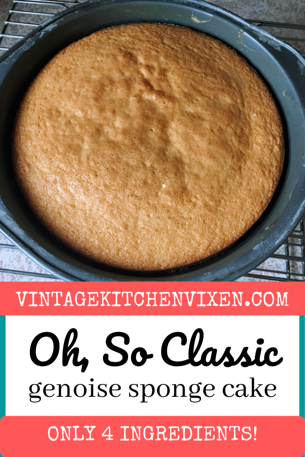 Classic Genoise Sponge Cake Recipe (only 4 ingredients!) - Vintage ...