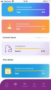 Cleaning With FlyLady Plus for a Sparkling Home (it's easy!) - Vintage ...